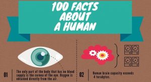 100 amazing and interesting facts about a human being